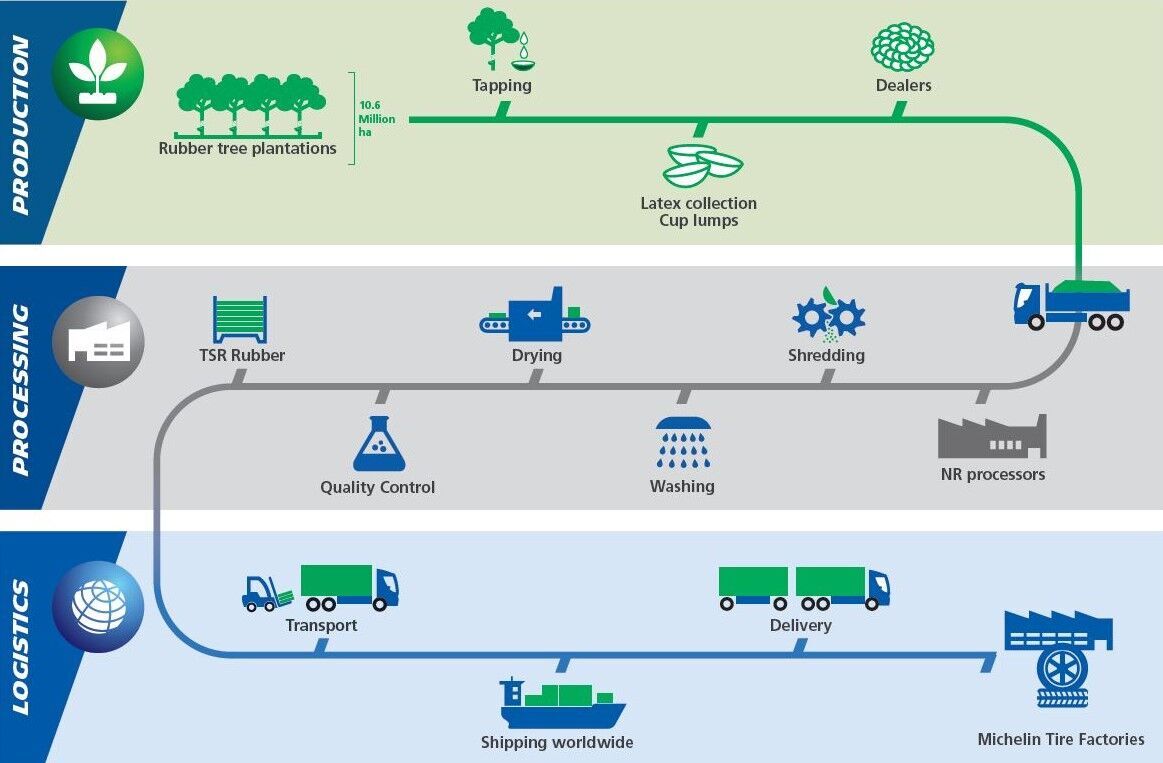 Natural Rubber at a glance | Michelin