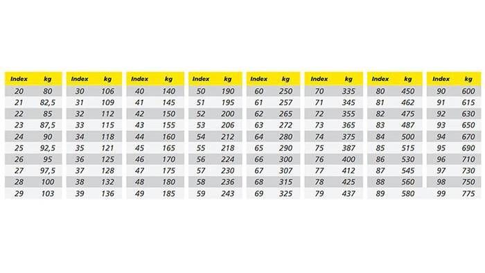 Check Out Our Tire Speed Index & Load Index | Michelin