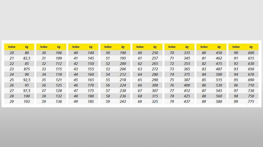 Índice de carga y velocidad de neumáticos de moto | MICHELIN