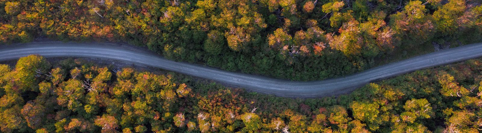 All-season - Search by Season | BFGoodrich USA